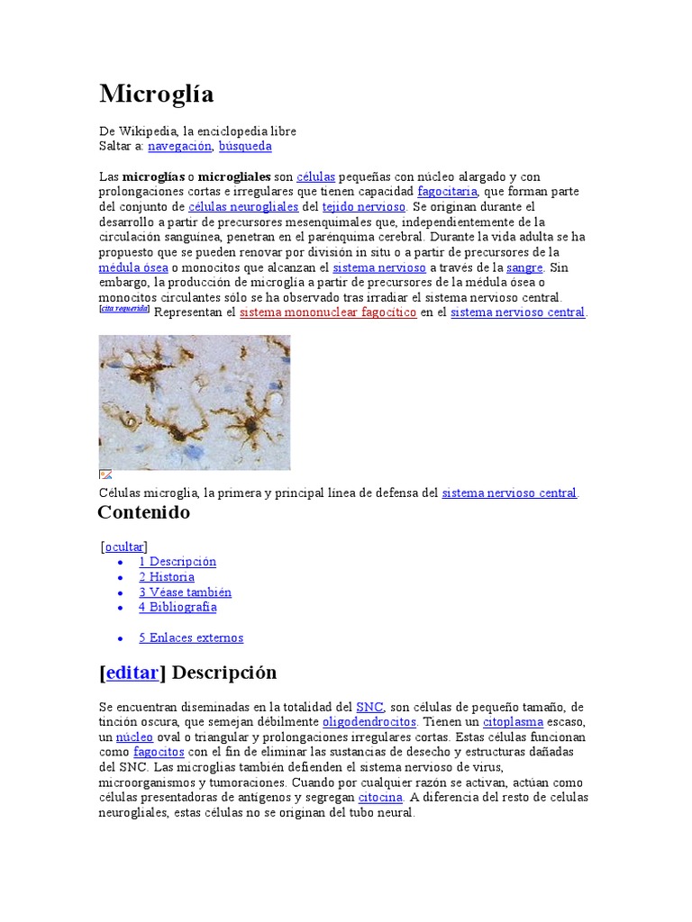 Microglia | PDF | Microglia | Tejido (biología)