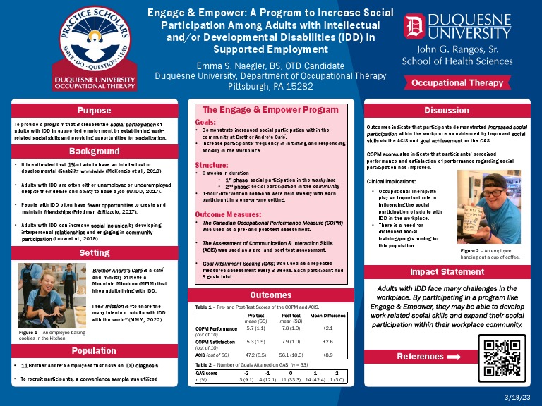 Practice Scholar Poster | PDF | Occupational Therapy | Behavioural Sciences