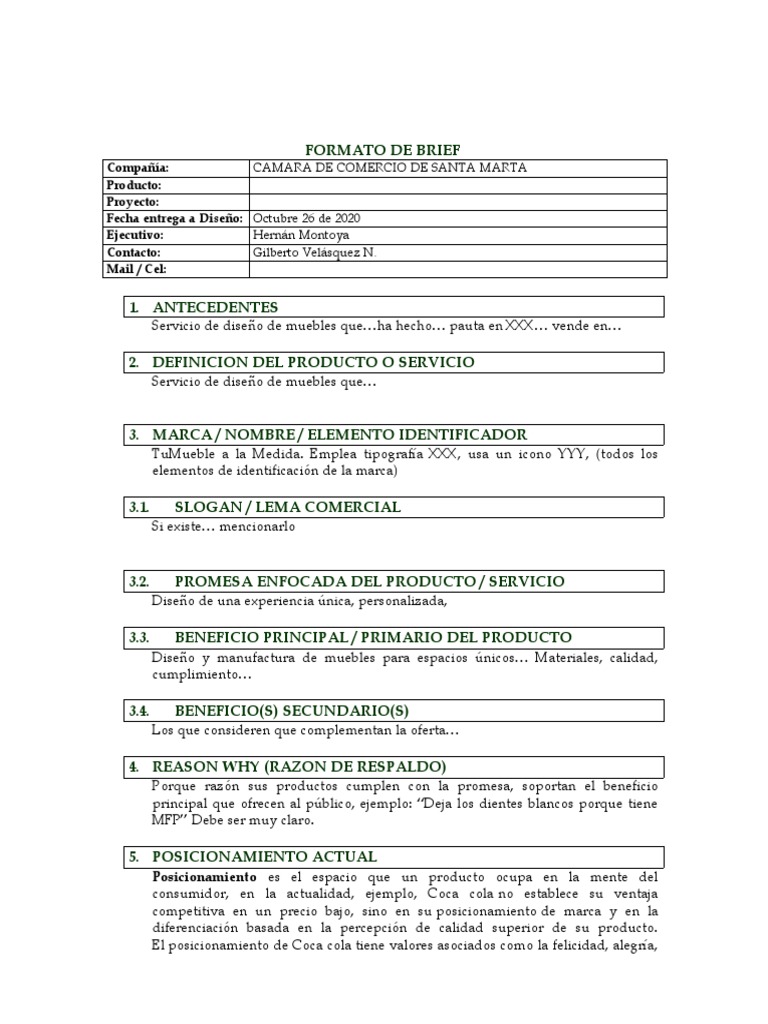 Formato Brief Creativo 2 | Descargar gratis PDF | Marca | Marketing