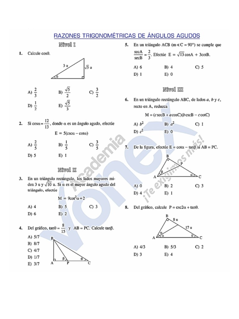 Ejercicios de Trigonometría | PDF