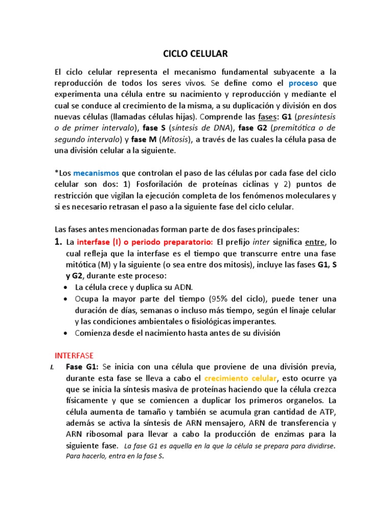 Ciclo Celular Resumen | PDF | Mitosis | Ciclo celular