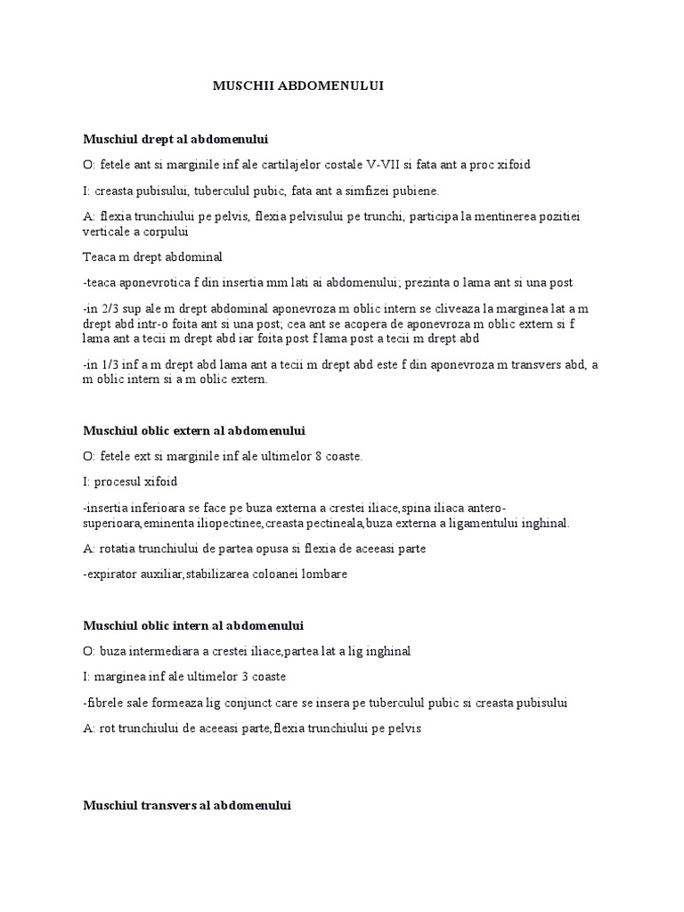 Muschii Trunchiului Si Abdomenului | PDF