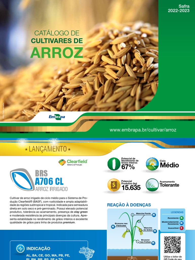 Catalogo Cultivar 22-23 ARROZ PDF | PDF | Agricultura | Cereais