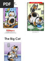 Cat on the Mat: Early Reader Guide | PDF | Young Adult