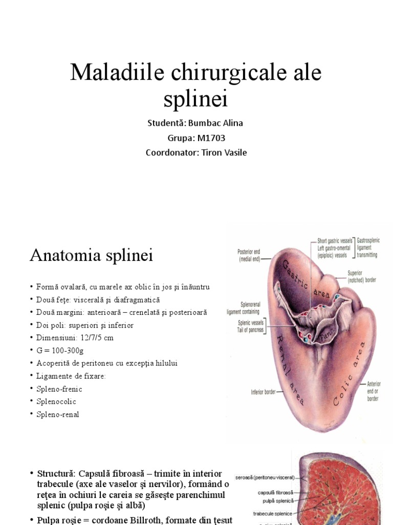 Maladiile Chirurgicale Ale Splinei | PDF