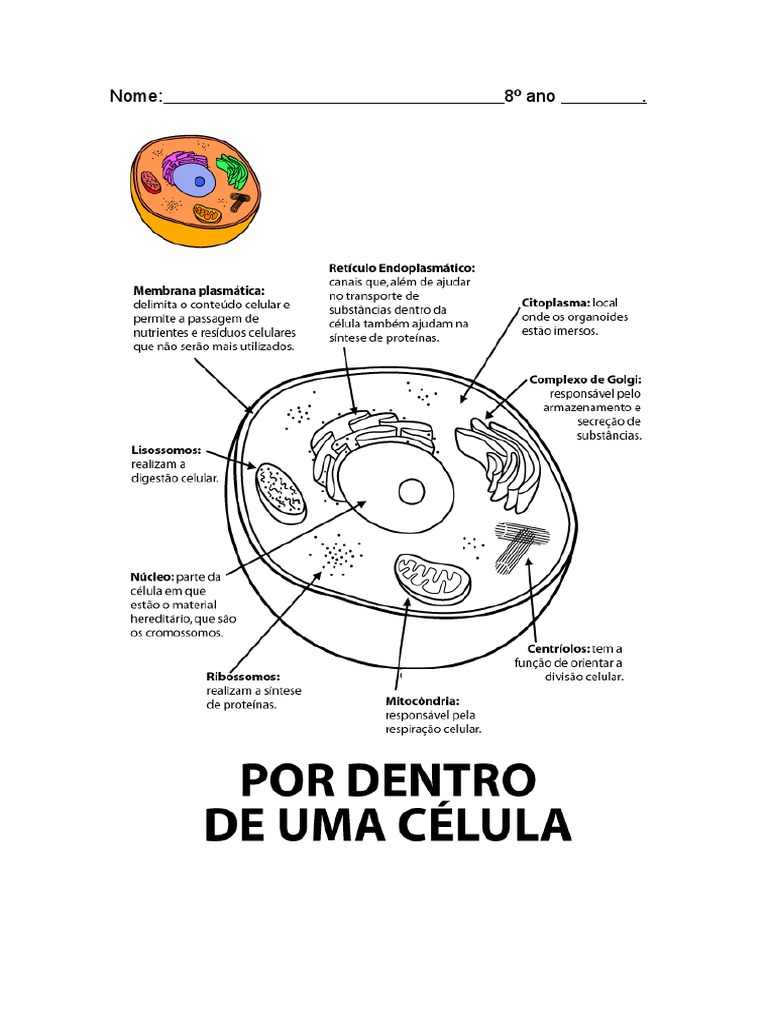 Atividade Célula Inclusão | PDF
