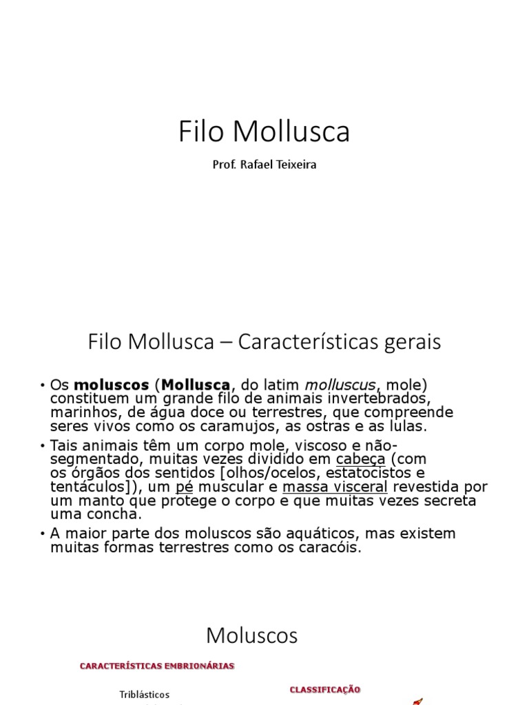 Filo Mollusca | PDF | Moluscos | Sistema circulatório