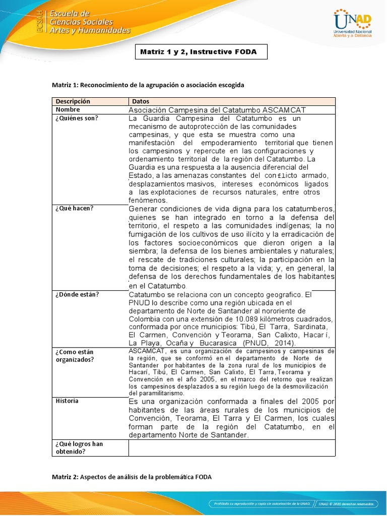 Anexo 1 - Instructivo Matriz 1 y 2 | PDF | Análisis FODA