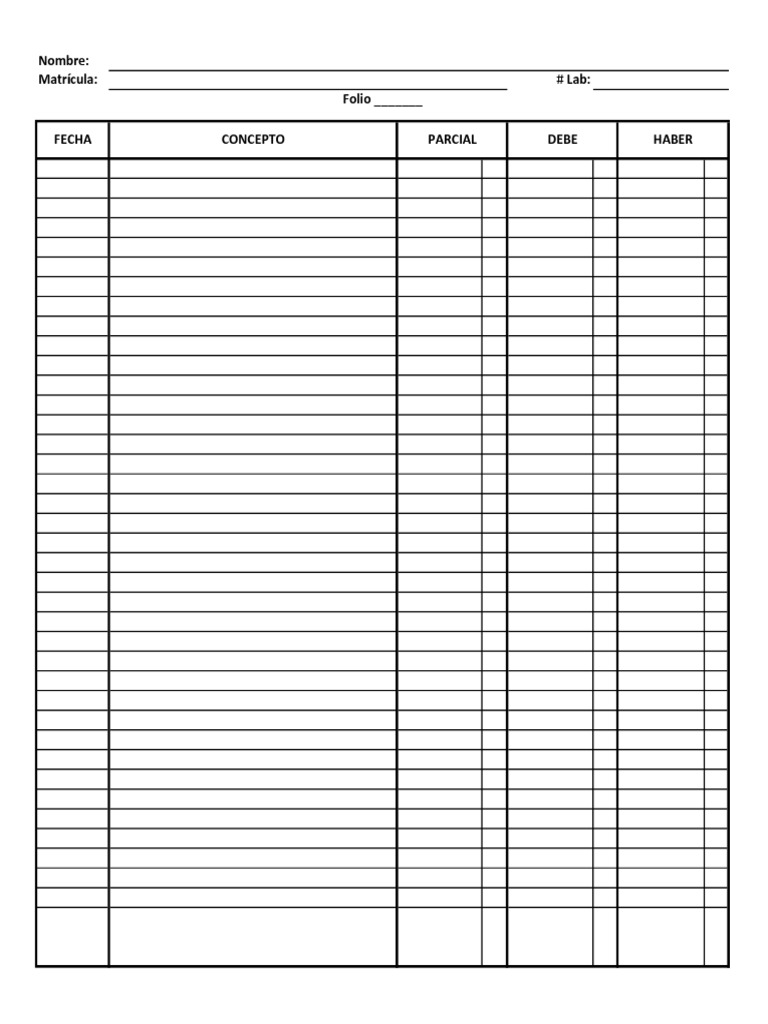 Rayado Diario PDF | PDF