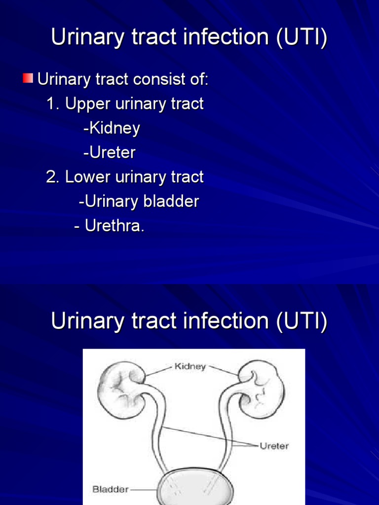 Overview of Urinary Tract Infections | PDF | Urinary Tract Infection ...