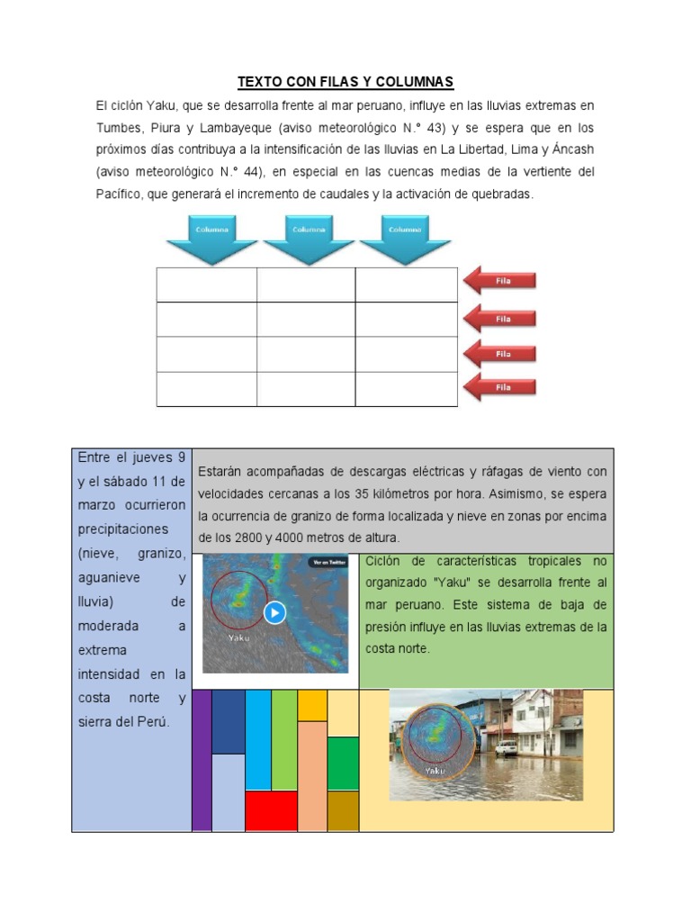 Texto Con Filas y Columnas | PDF