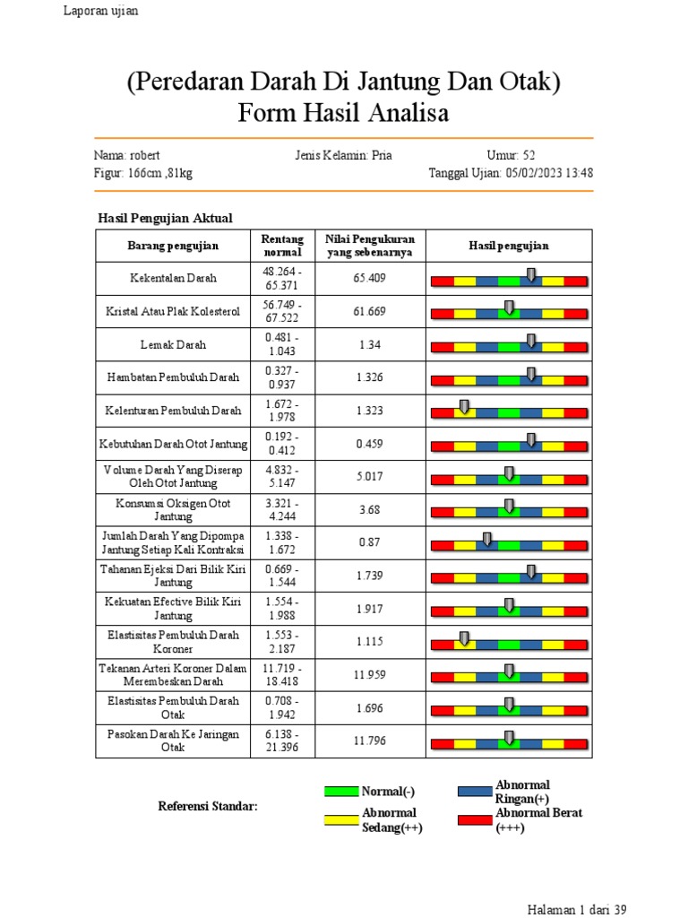 Hasil Pengecekan BPK Robert | PDF