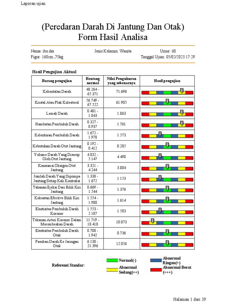 Hasil Pengecekan Ibu Ika | PDF