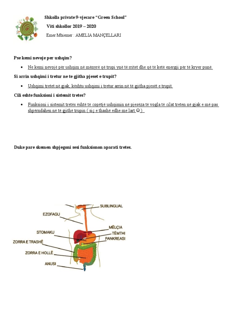 Skede Klasa 6. Tretja | PDF