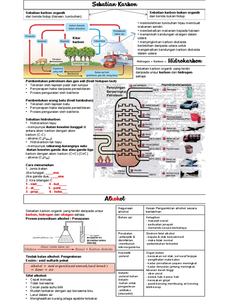 Nota Bab 5 Sebatian Karbon PDF | PDF