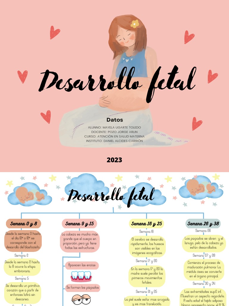 Desarrollo Fetal | PDF | Feto | Especialidades Medicas