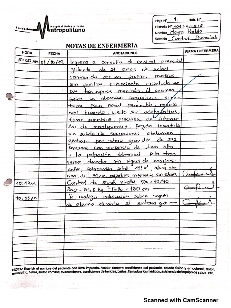 Notas de Enfermería | PDF