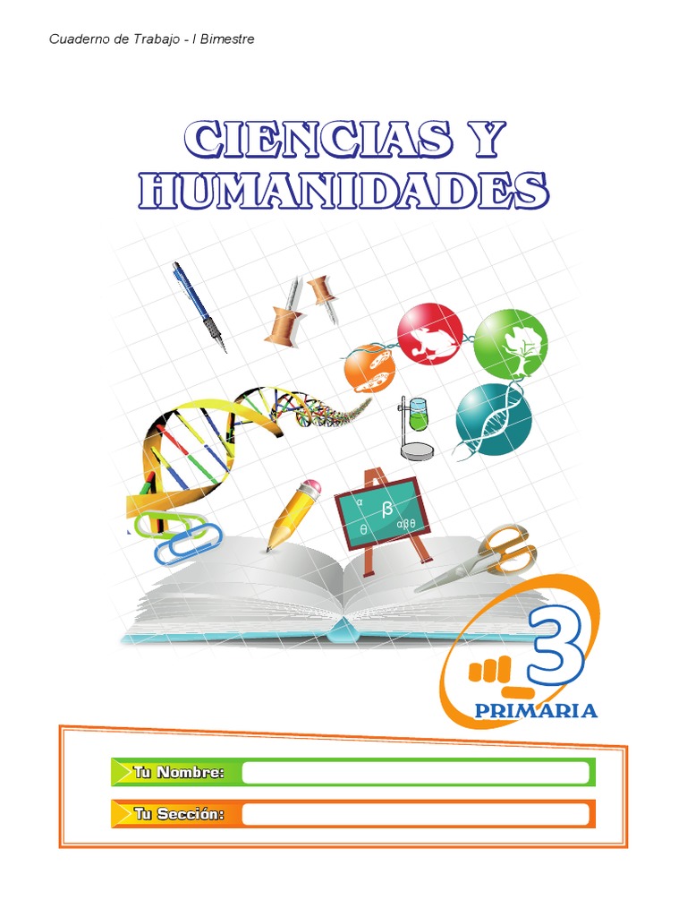 3 CyH - 3°grado - I - Bim PDF | Descargar gratis PDF | Percepción visual | Articulación