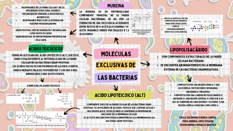 Moleculas Exclusivas de Las Bacterias - Paula, Yeris y Yeison | PDF | Bacterias Gram Positivas ...