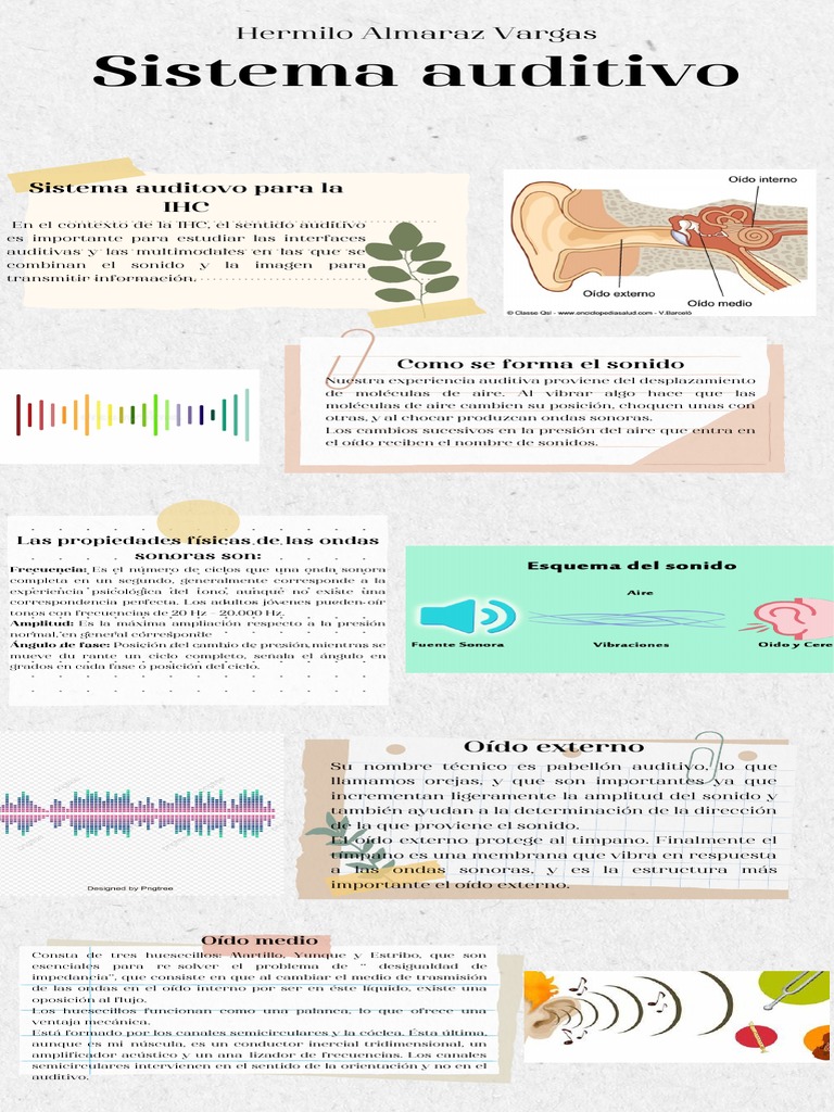 Infografía Del Sistema Auditivo | PDF | Escuchando | Sonido