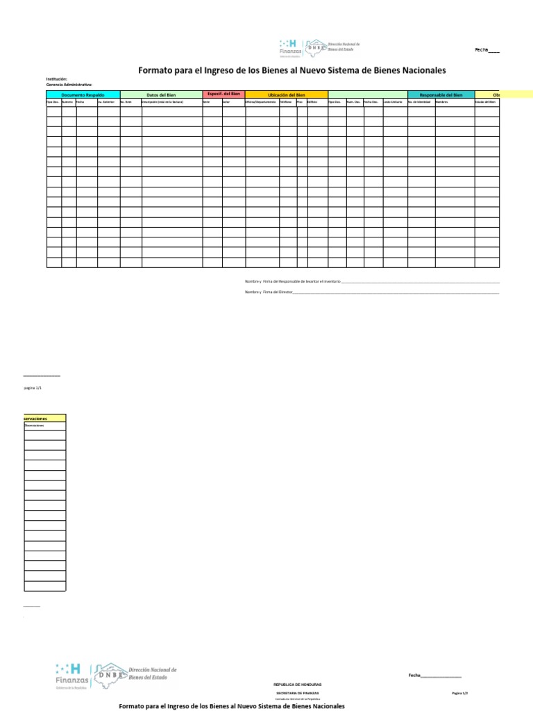 Formato Levantamiento Inventario Inicial 2023 DNBE | PDF