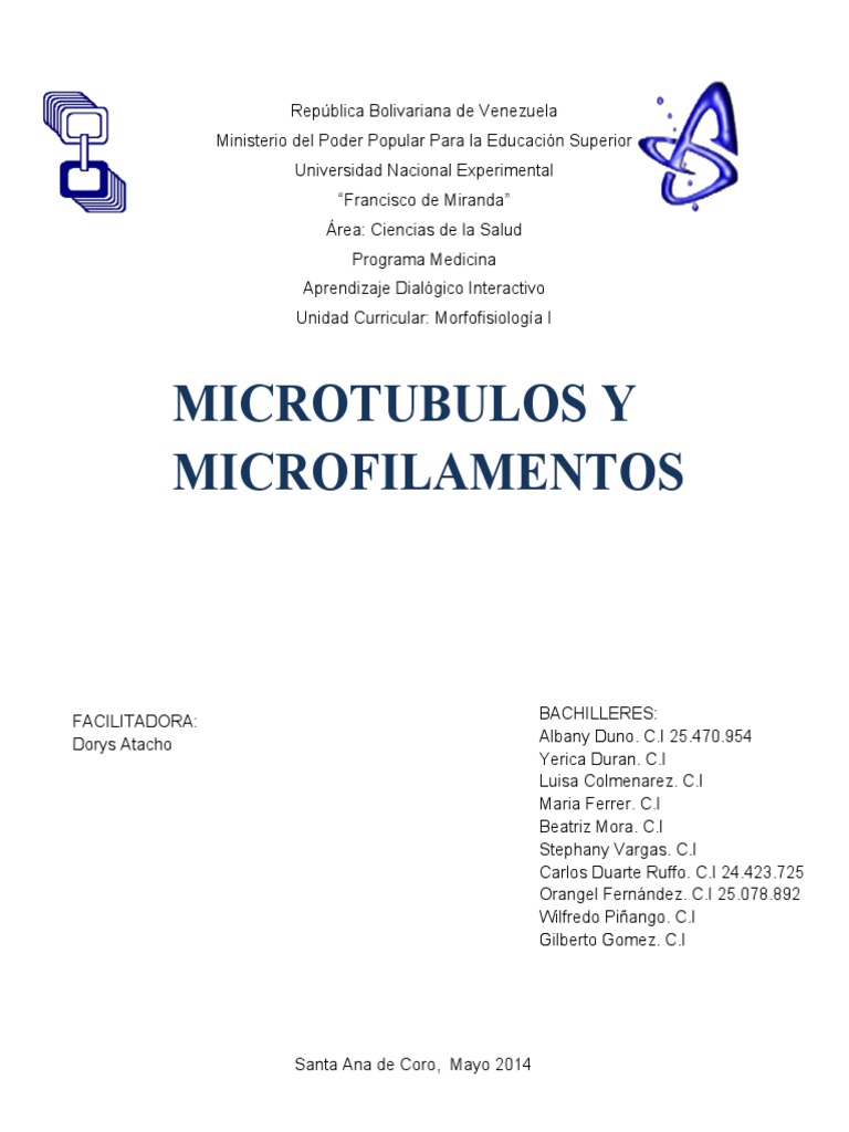 Microtúbulos y Microfilamentos: Función y Estructura | PDF ...