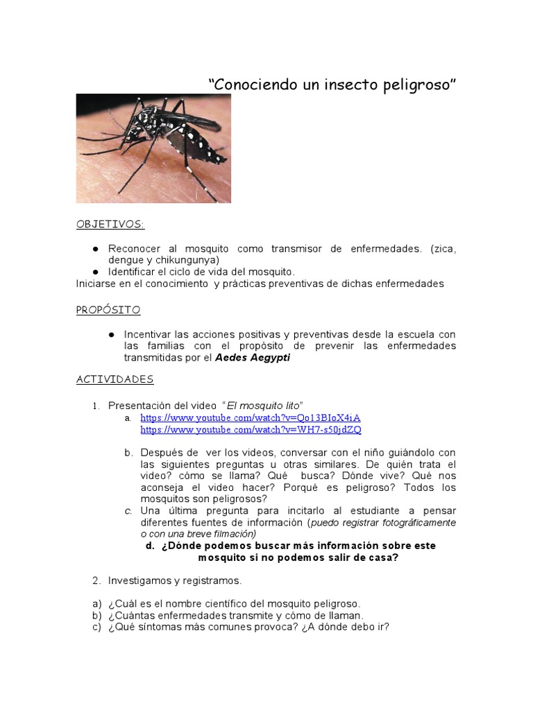 Prevención del Mosquito Aedes | PDF | Mosquito