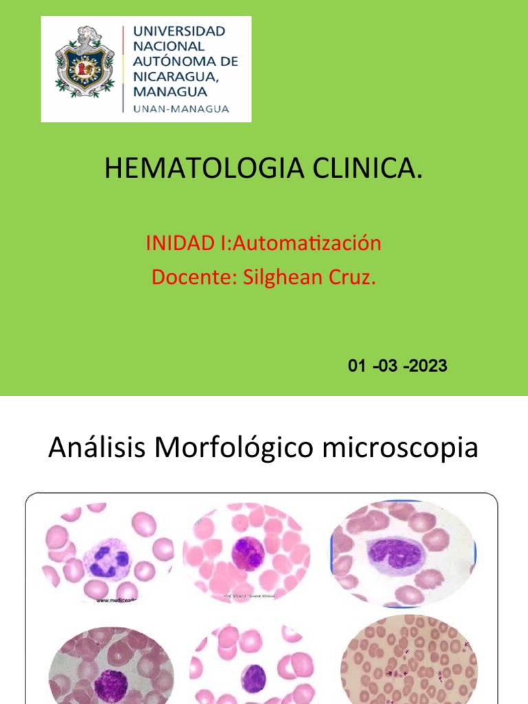 Automatizacionclaselorena | PDF | Leucocito | Anatomía