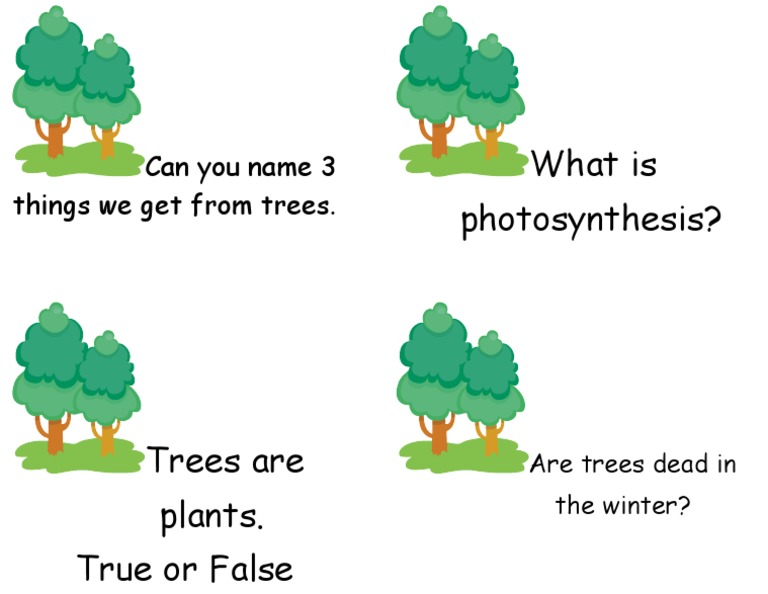 Tree Trivia | PDF | Wellness
