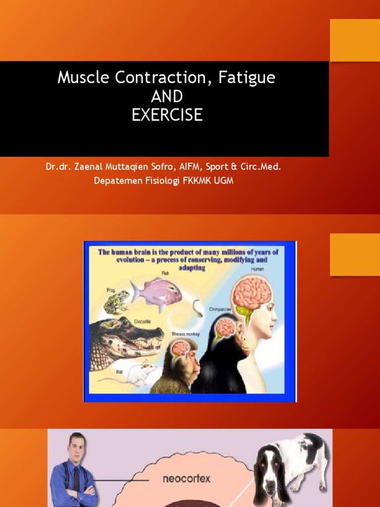 Muscle Contraction, Fatigue & Exercise 22 PDF | PDF | Muscle ...