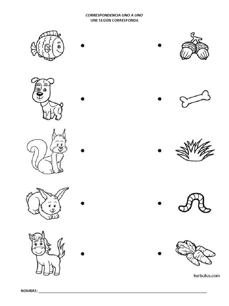 Correspondencia Uno A Uno | PDF