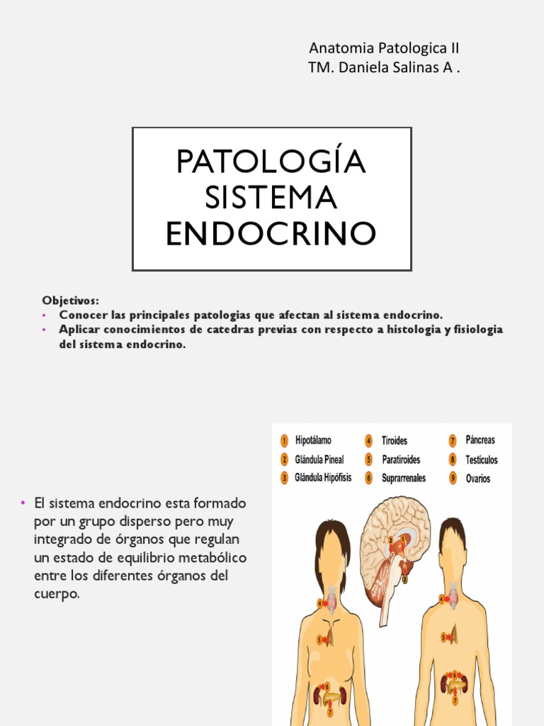 Patologia Sistema Endocrino | PDF | Tiroides | Hormona estimulante de la tiroides