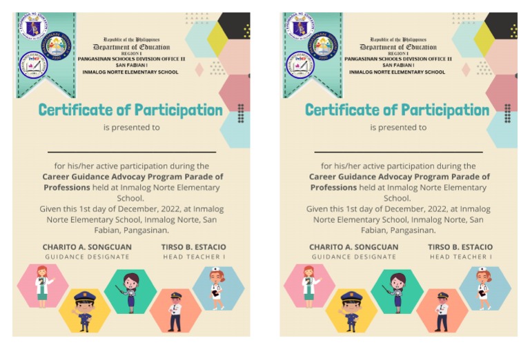 Career Guidance Certificate | PDF