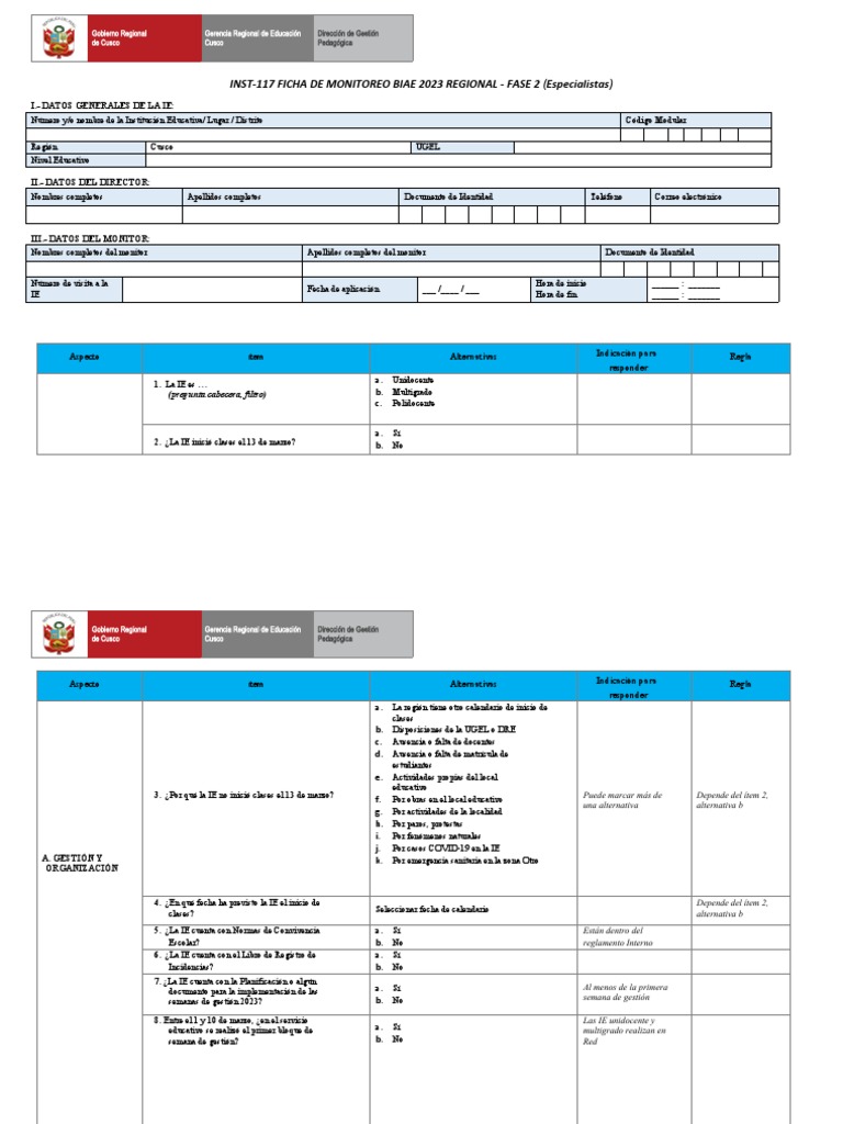 INST-117 FICHA DE MONITOREO BIAE 2023 REGIONAL - FASE 2 (Especialistas ...