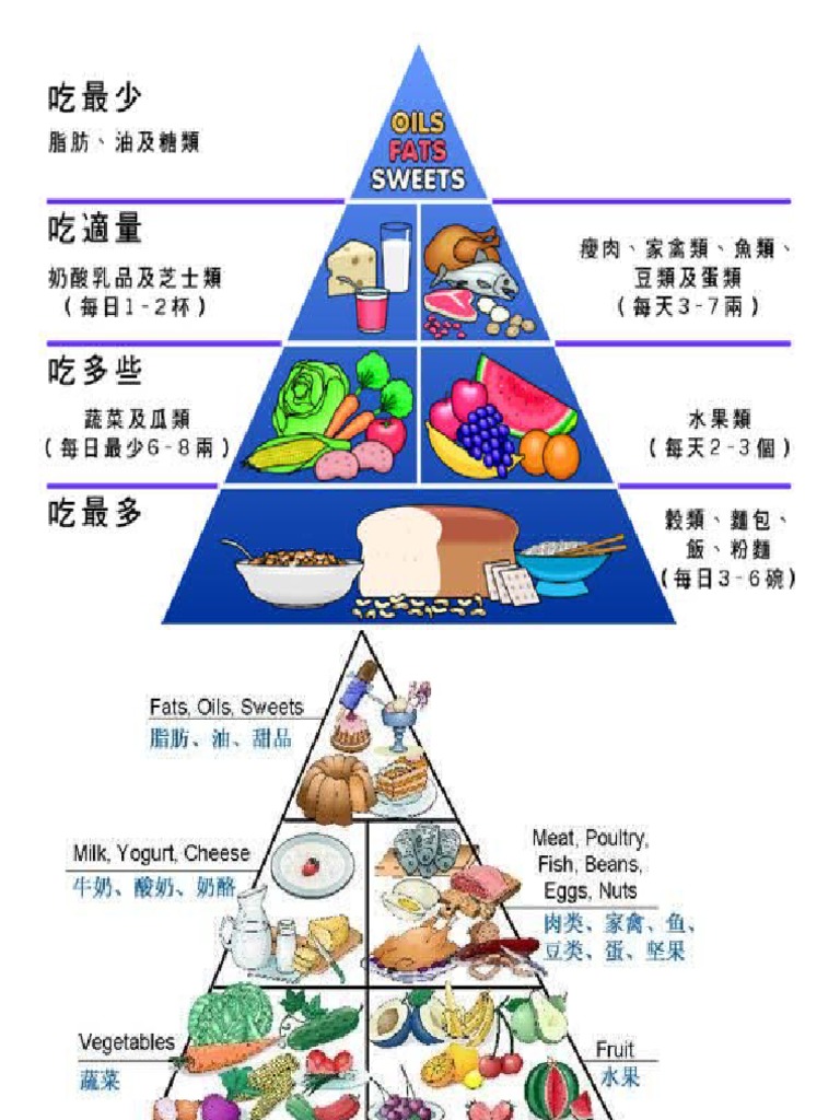 食物金字塔 | PDF