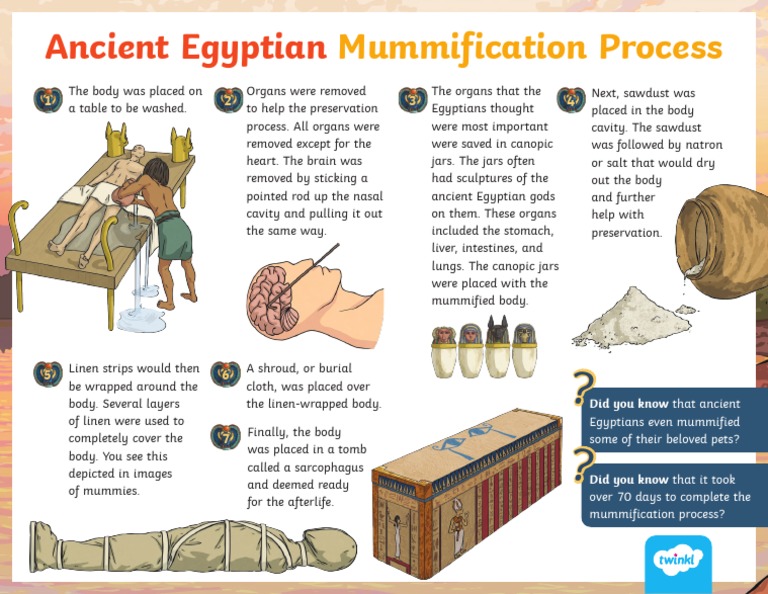 Mummification Process | PDF | Mummy | Cultural Aspects Of Death