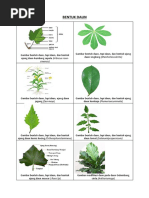 Jenis Jenis Batang Tumbuhan | PDF | Sains & Matematika