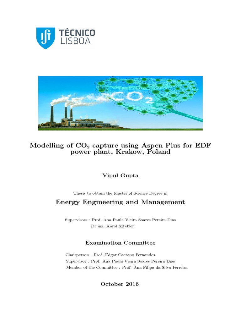 Master Thesis | Download Free PDF | Carbon Capture And Storage | Adsorption