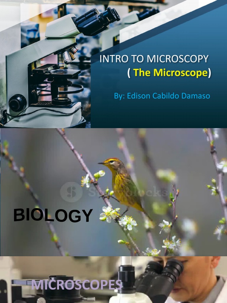 Today 1st Demo On Microscope | PDF | Microscope | Equipment
