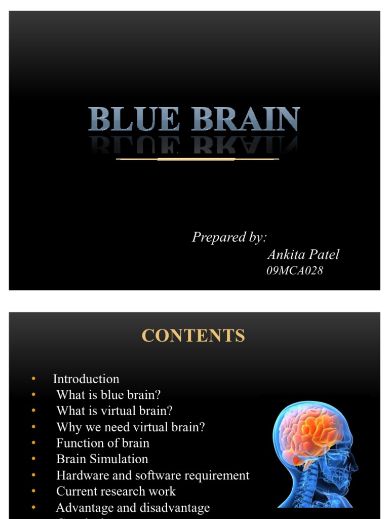 Blue Brain | PDF | Input/Output | Brain