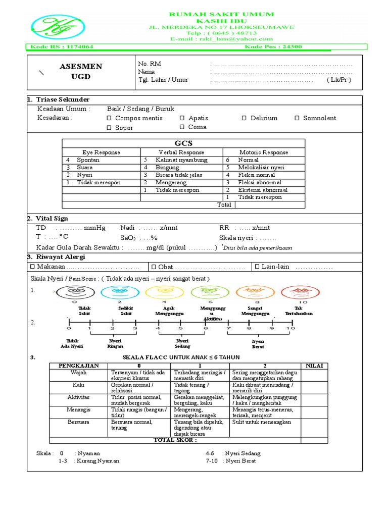 Asesmen UGD: Triase, Vital, dan Rencana Keperawatan | PDF