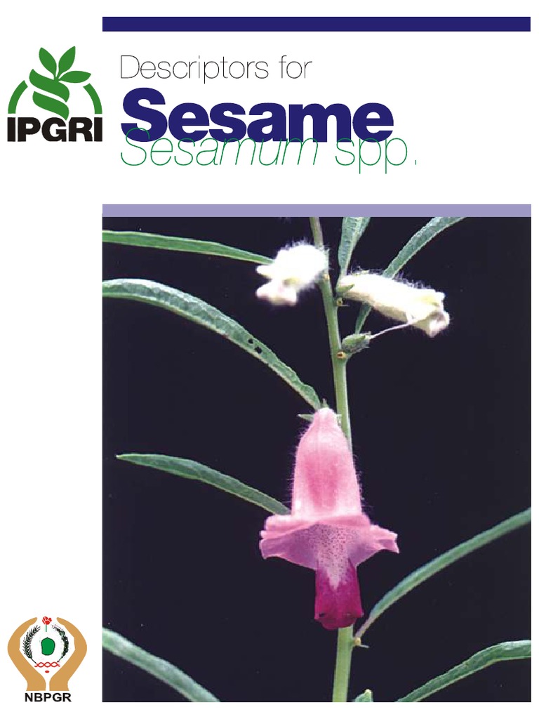 IPGRI - Descriptors For SESAMO PDF | PDF | Embryo | Sesame