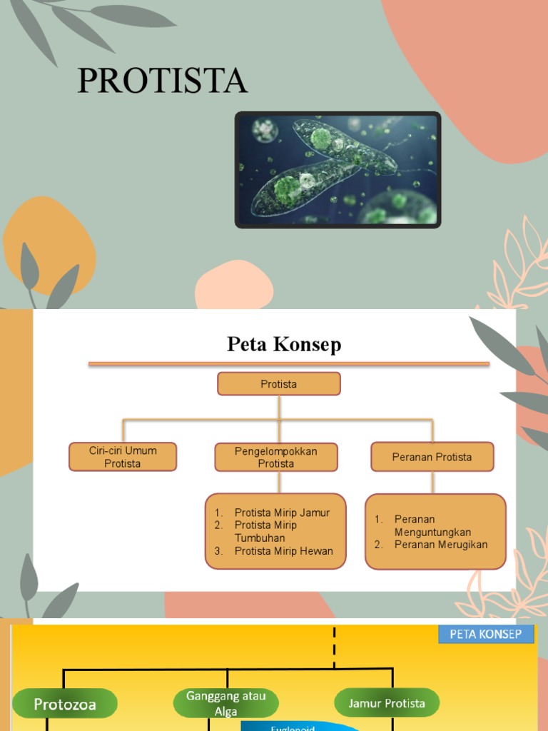 Protista 1 | PDF