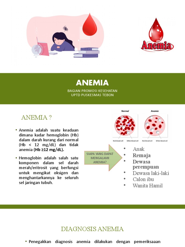 PENYULUHAN ANEMIA REMAJA Fix | PDF