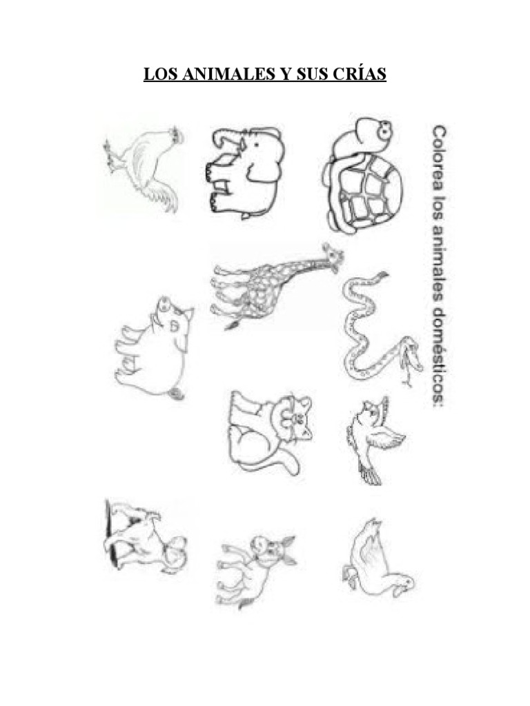Los Animales y Sus Crías | PDF