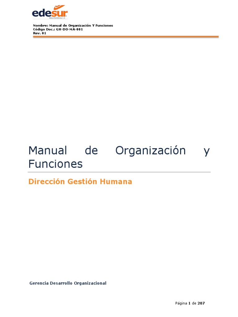 Edesur Manual de Organizacion Y Funciones | PDF | Planificación | Presupuesto