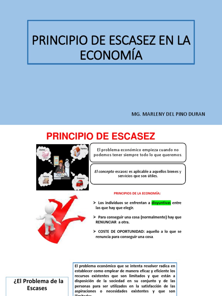 Principio de Escasez en La Economía PDF | PDF | Bienes | Costo de ...