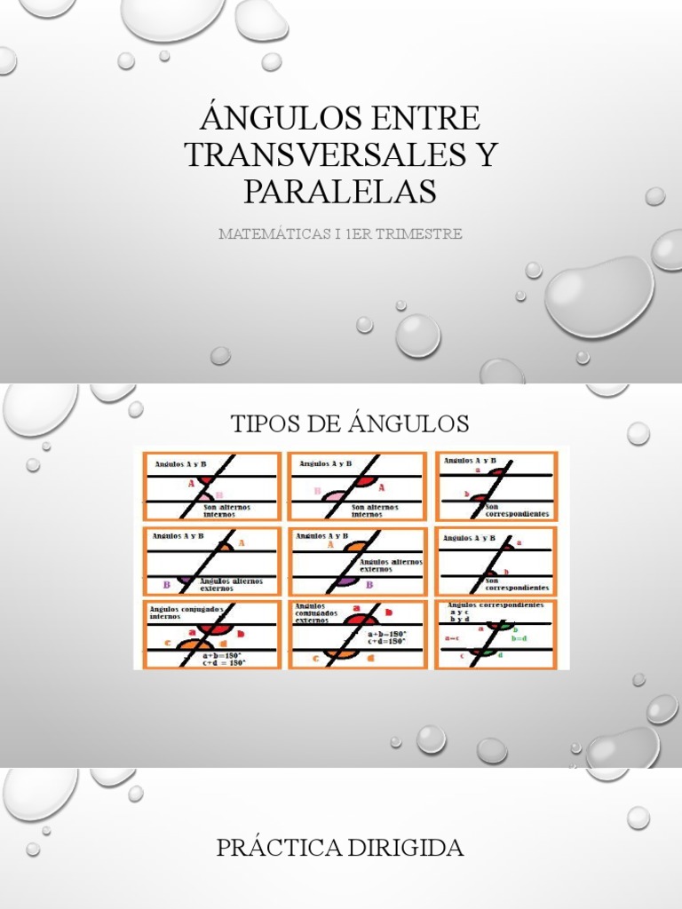 Ángulos Entre Transversales y Paralelas Cte | PDF