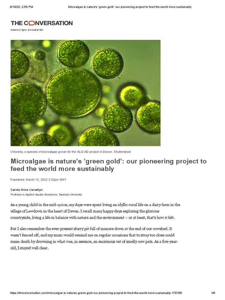Group 4 - Microalgae Is Nature's 'Green Gold' - Our Pioneering Project To Feed The World More ...