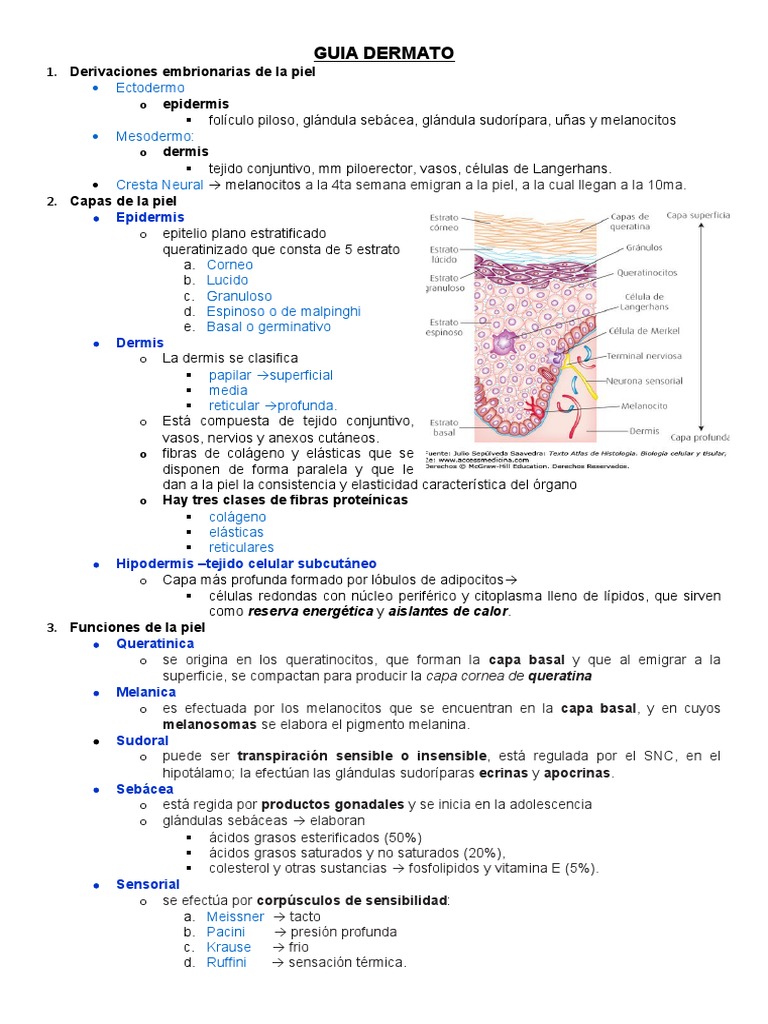 Dermato Guia | PDF | Sistema tegumentario | Causas de la muerte